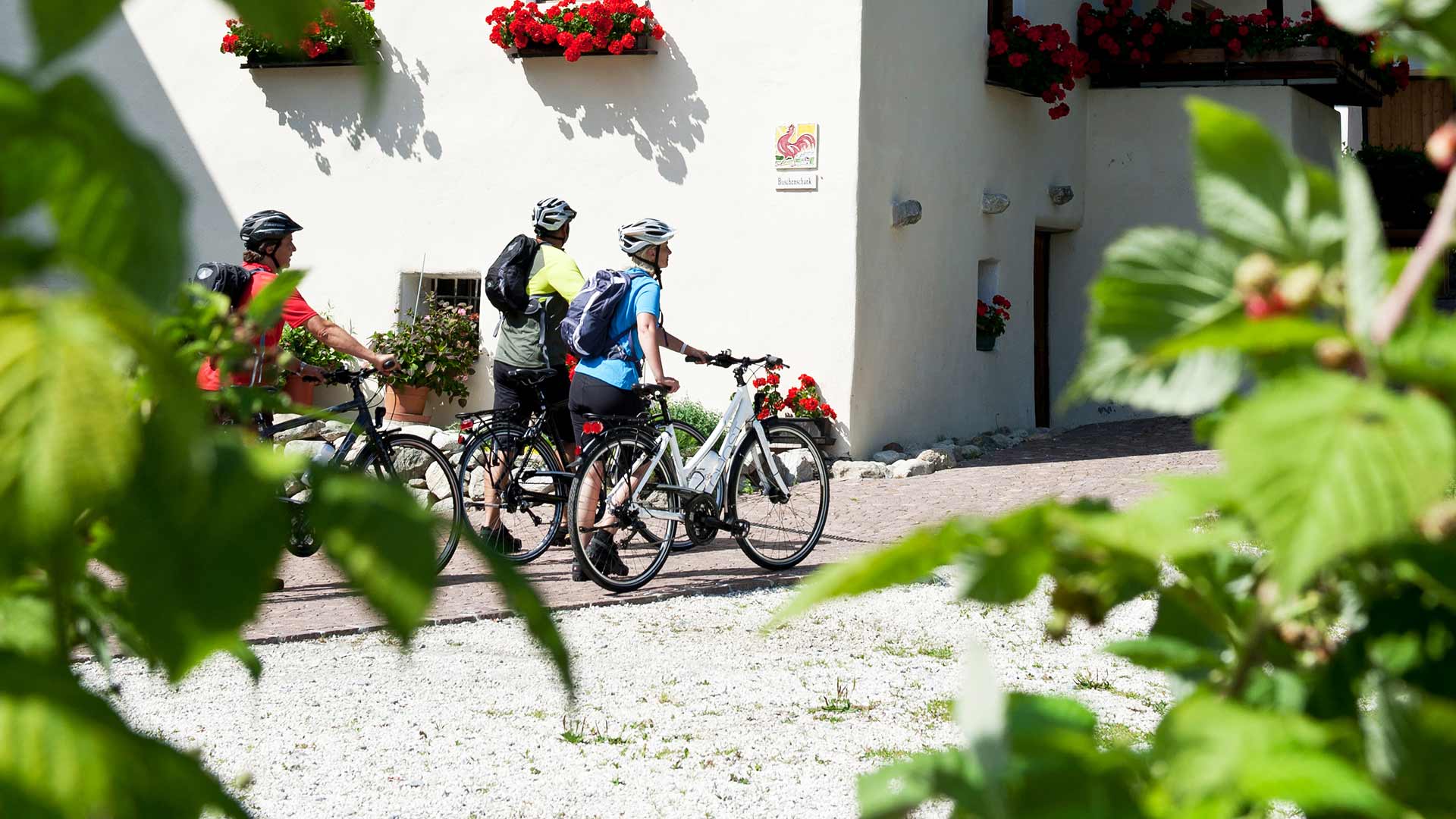 Radurlaub in Meran & Umgebung | Radwege & Radtouren | die Infos